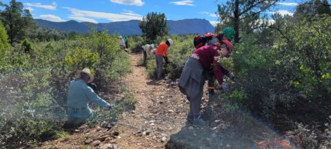 Prescott Hiking Trails | Hike, Bike, Ride - Yavapai Trails Association