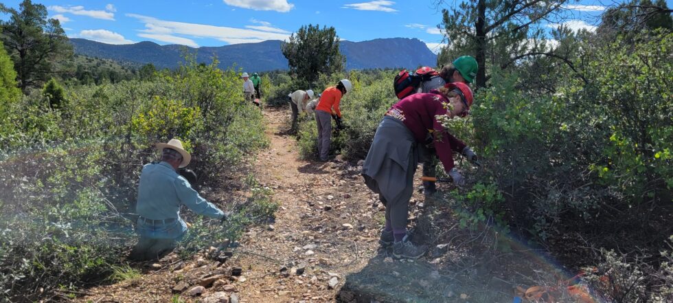 Prescott Hiking Trails | Hike, Bike, Ride - Yavapai Trails Association