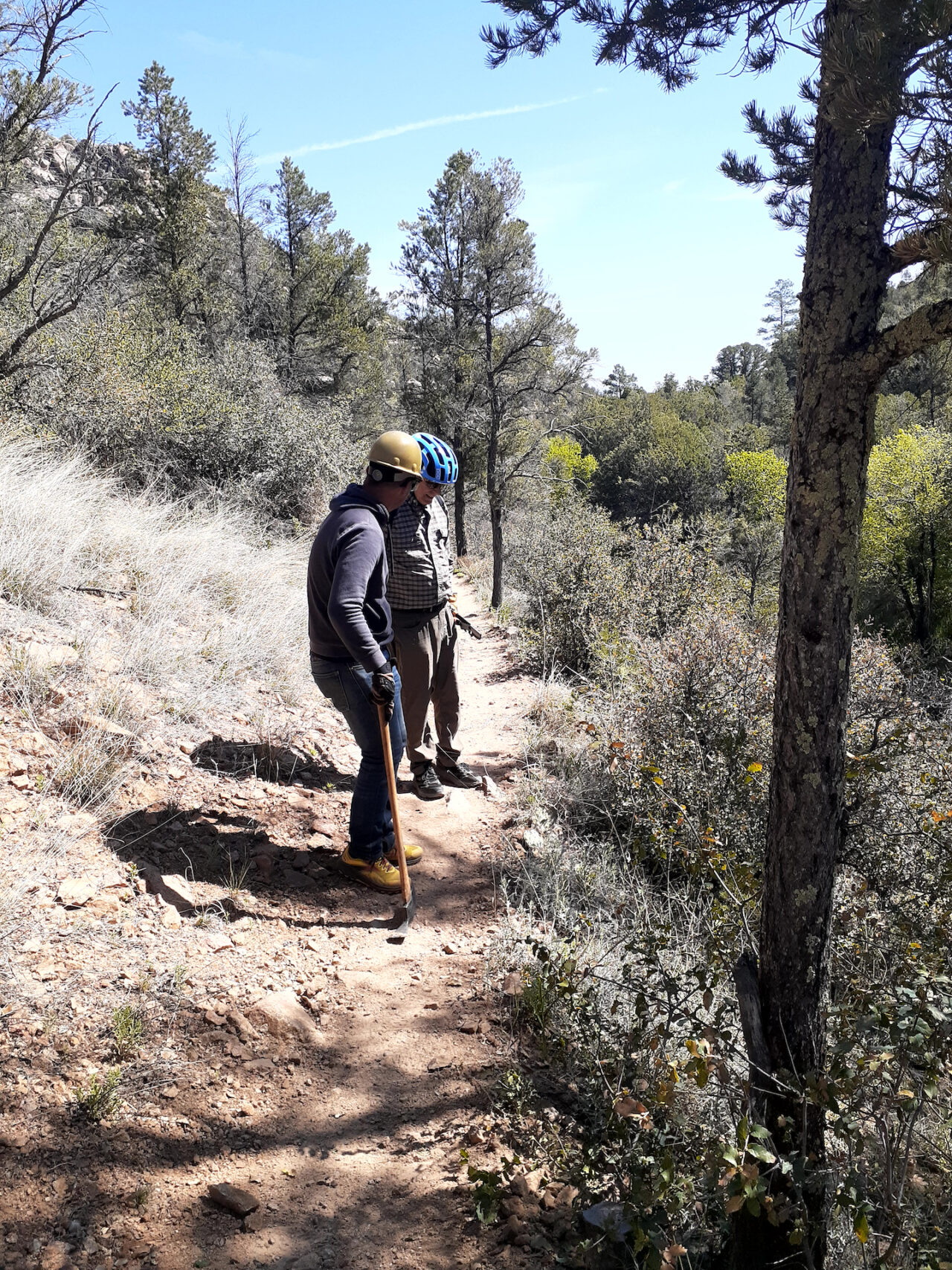 Prescott Hiking Trails | Hike, Bike, Ride - Yavapai Trails Association