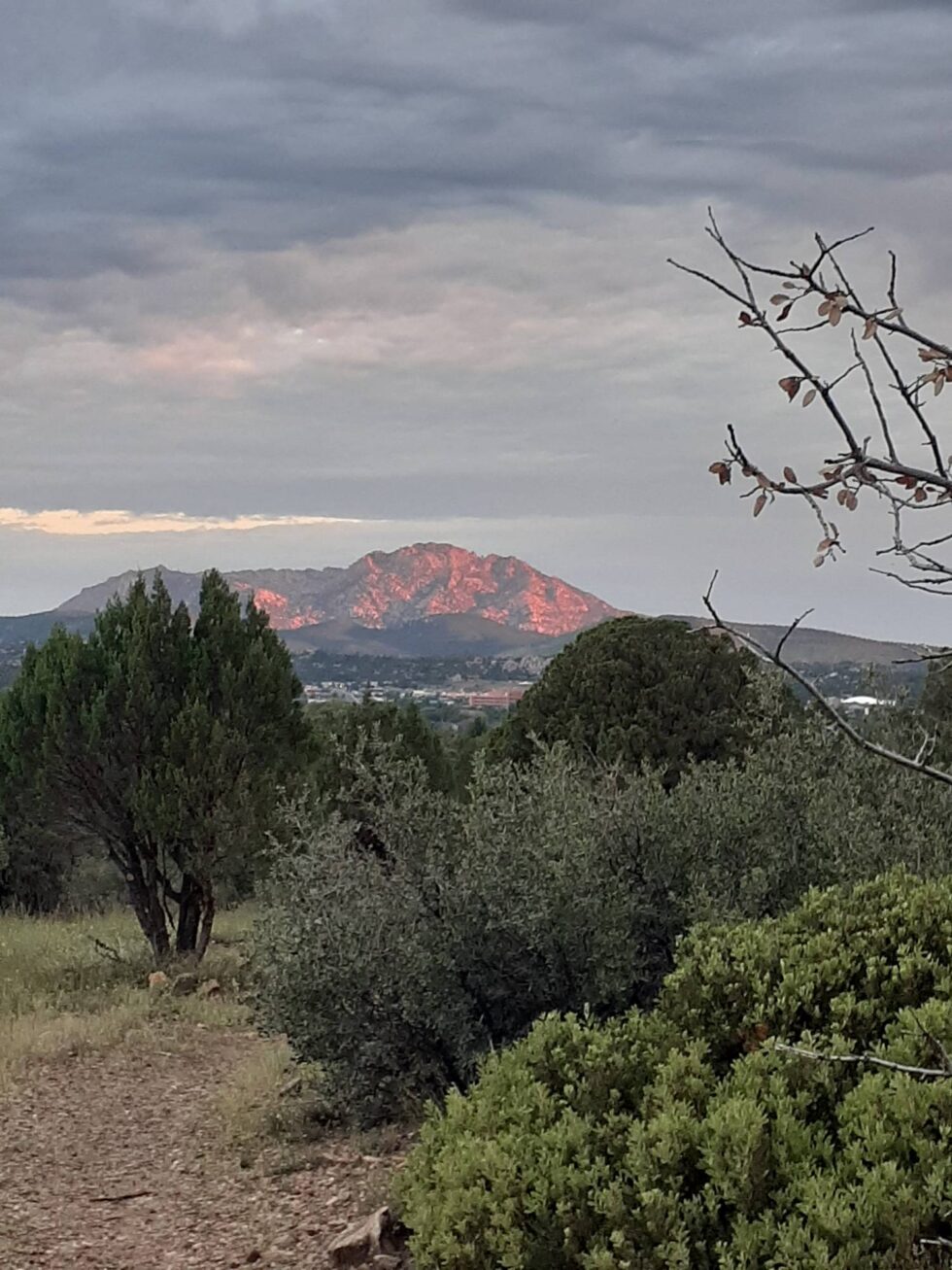 Best Hikes in Prescott: Family Trails to Epic Adventures - Yavapai ...